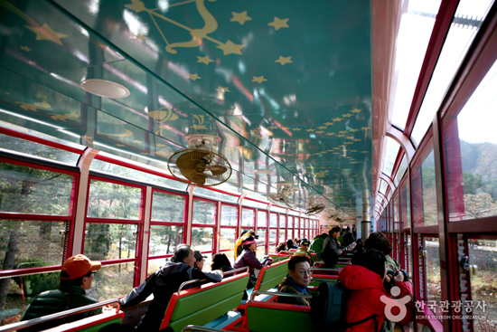 백두대간 협곡열차 V-트레인